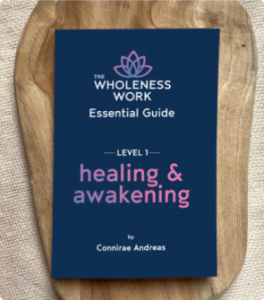 The Wholeness Work Essential Guide: Level I - Healing & Awakening - The ...